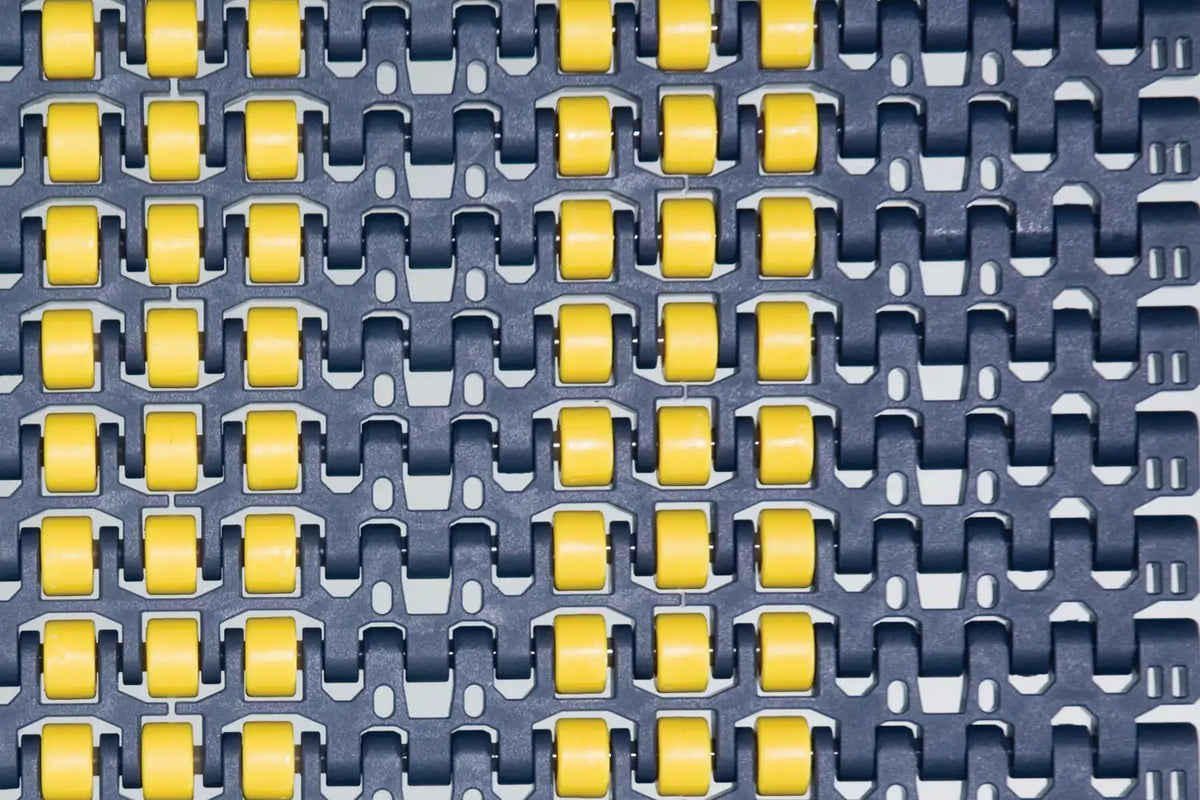Intralox Series 1000 Insert Roller — conveyor-belt.com